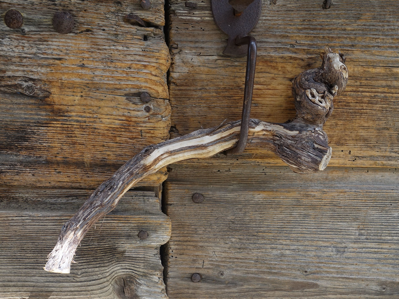 CHAPITRE 11 - Et col et pic